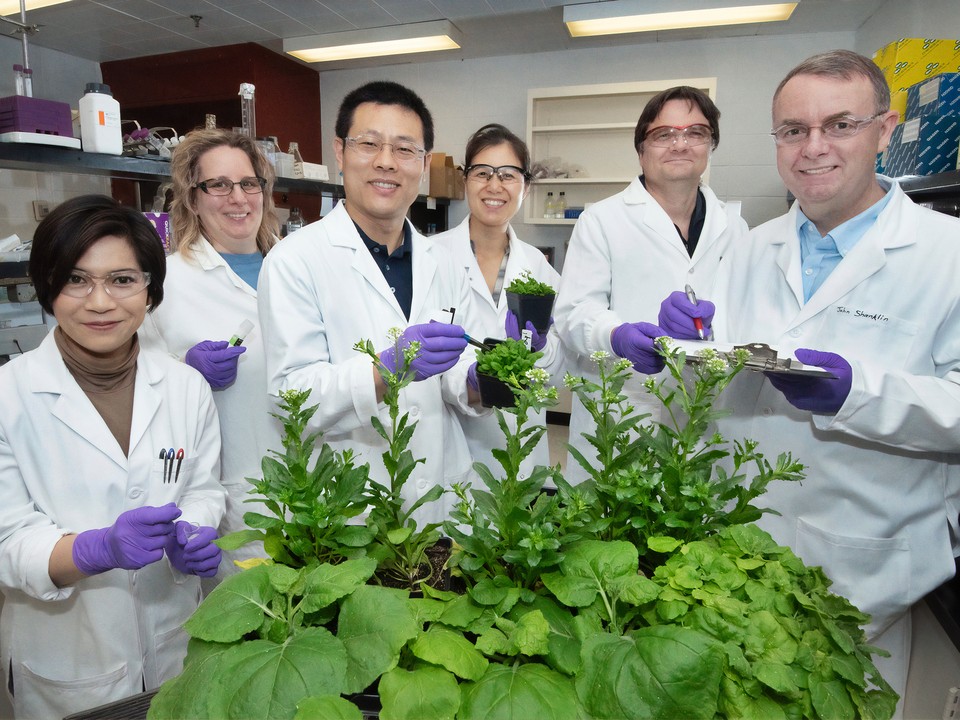 Plant Scientist | Science & Engineering Career