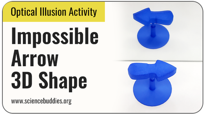 Optical Illusion Science Projects | Science Buddies Blog