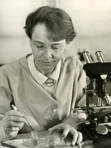 Women in STEM! More than 60 Scientists and Engineers for Women's ...