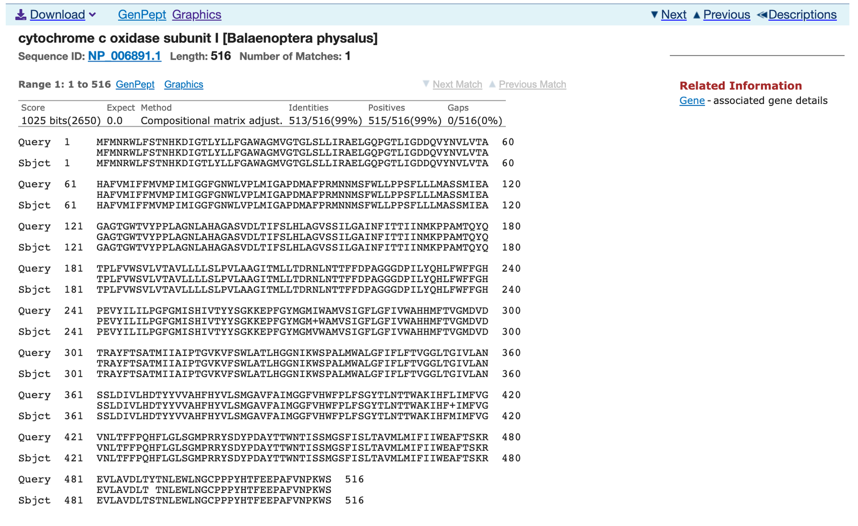 Use DNA Sequencing to Trace the Blue Whale's Evolutionary Tree ...