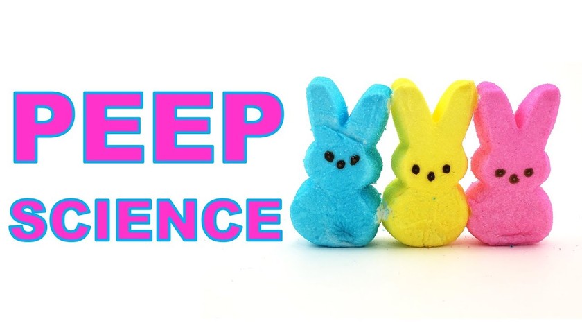 Spring Science Projects: 26 Science Experiments for Spring | Science ...