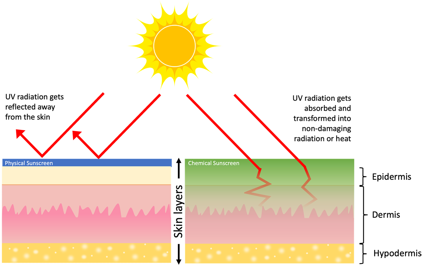 Testing Sunscreen Effectiveness and Water Solubility | Science Project