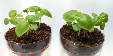Hydroponics Kit Instructions