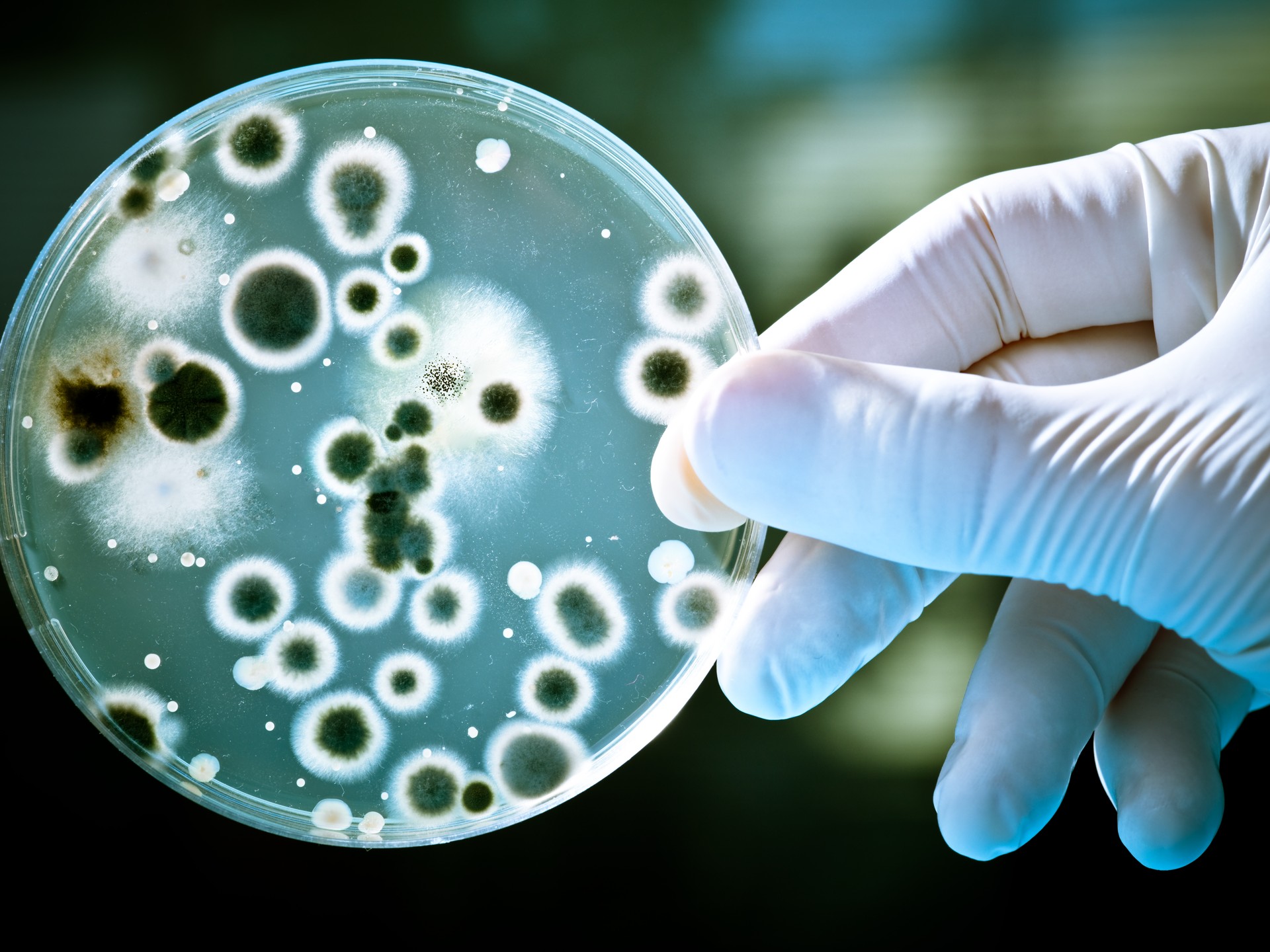 Biological Technician | Science & Engineering Career
