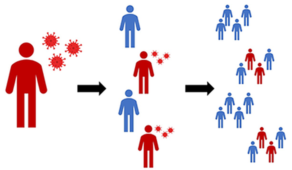 Model How R naught (R₀) Shapes an Epidemic | Science Project