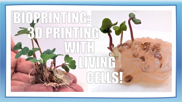 Bioprinting: 3D Print with Living Cells! No 3D Printer Required ...
