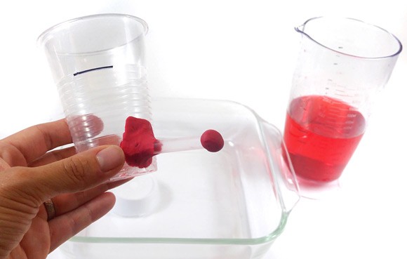 Model Your Blood Flow | STEM Activity