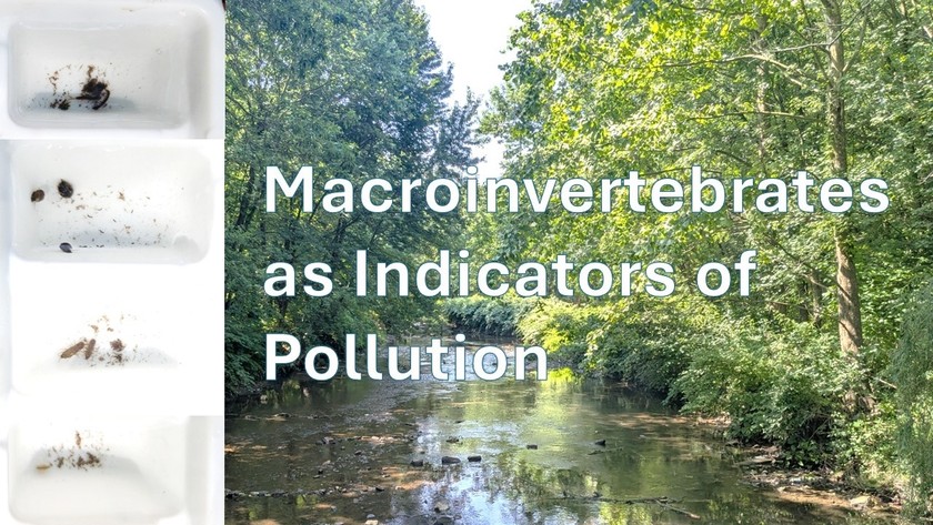 New Environmental Science and Sustainability Projects for Student STEM ...
