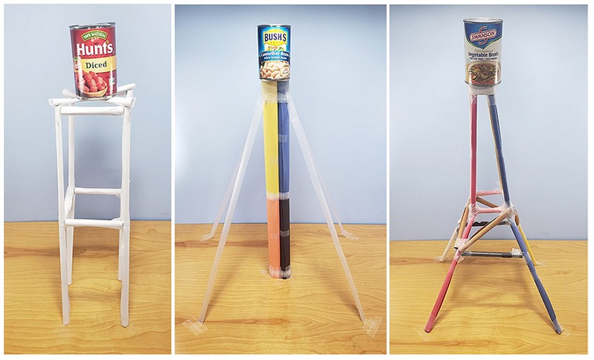 Take the Science Buddies Engineering Challenge!