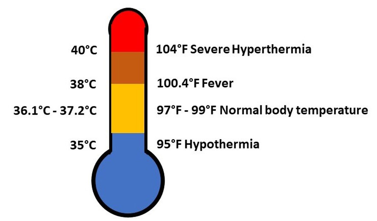 What Is Normal Body Temperature for Humans? | STEM Activity