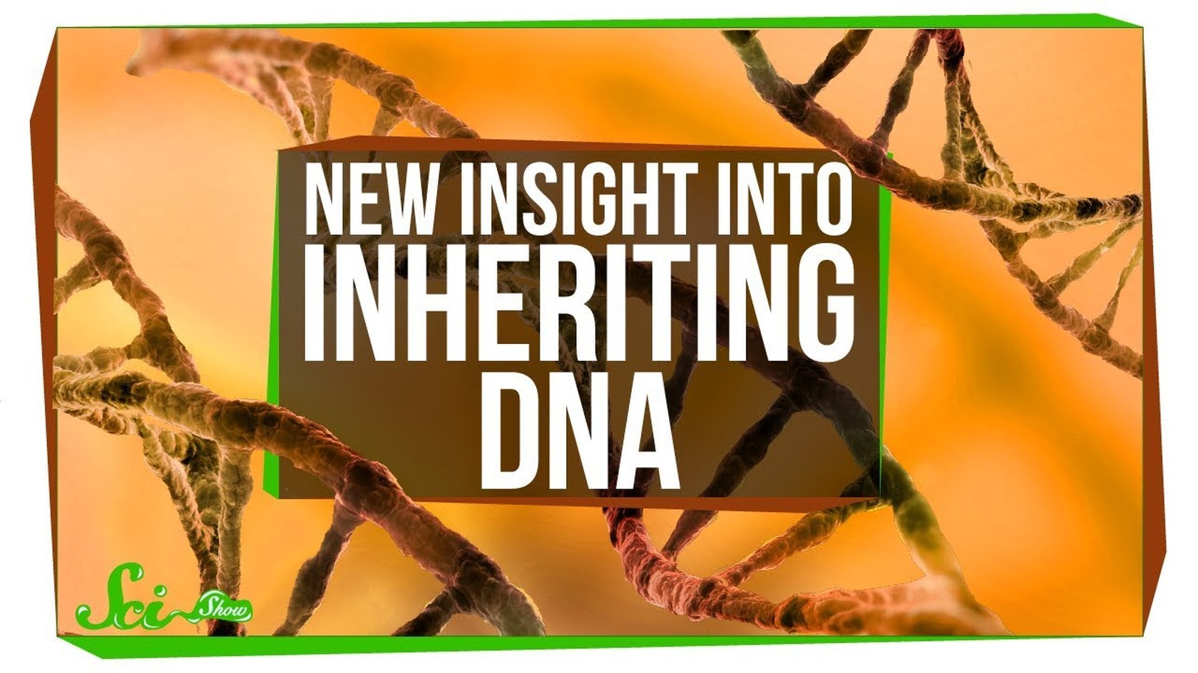 Trace Your Ancient Ancestry Through DNA | Science Project