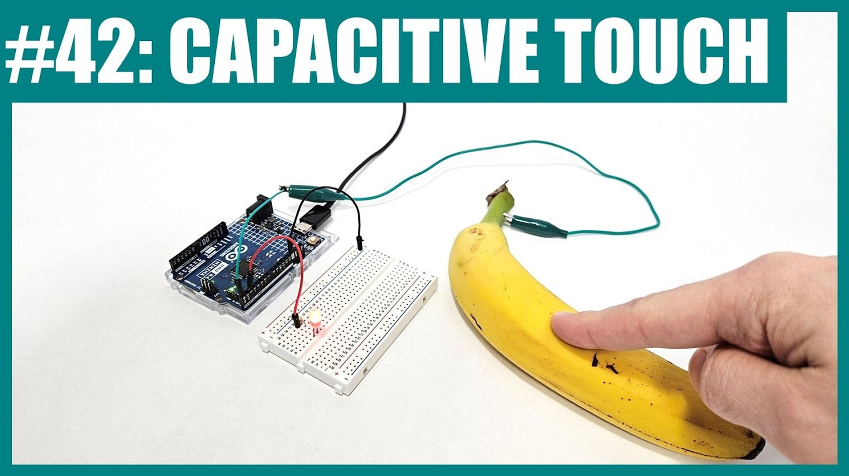 Make a Biohybrid Robot with a Plant as a Touch Sensor | Science Project