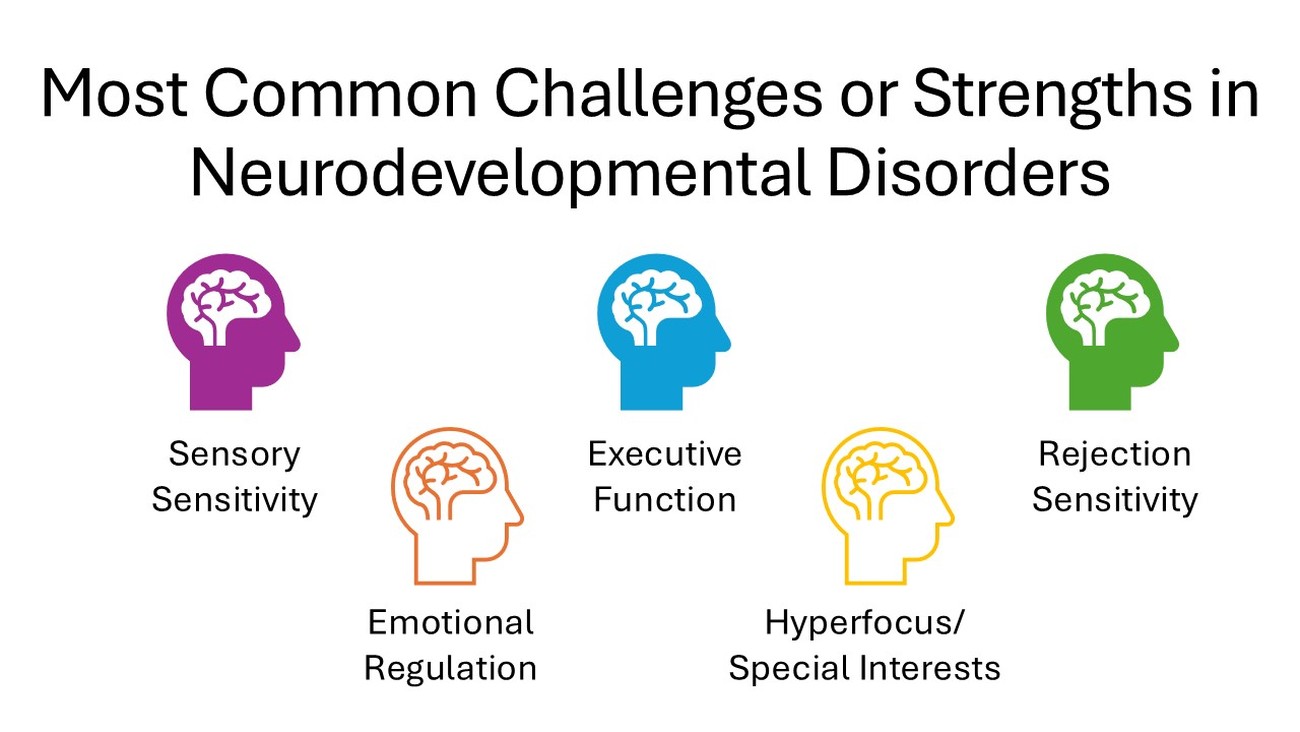 Effect of Movement on Executive Function in Neurodevelopmental ...