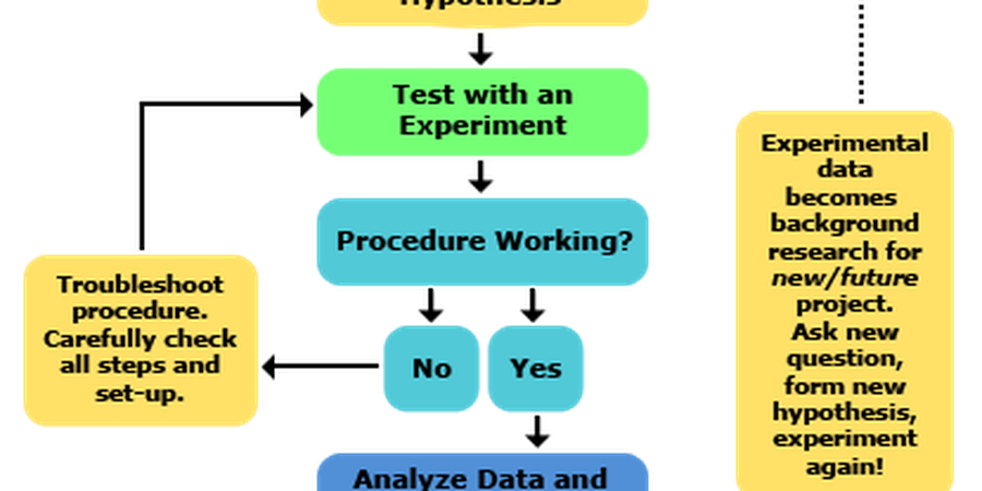 Project Guides