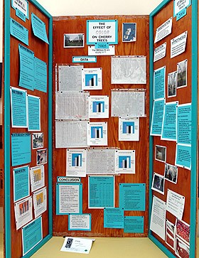 3d Poster Board Ideas