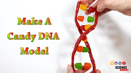 14 Candy Science Experiments and Candy STEM Activities | Science ...