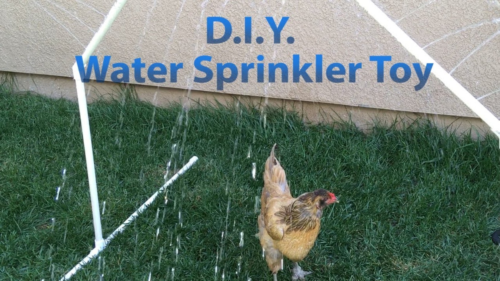 Build a Water Sprinkler Toy | STEM Activity