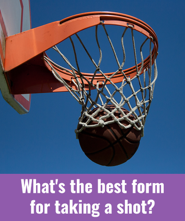 March Madness Basketball Science Projects: Sports Science Experiments ...