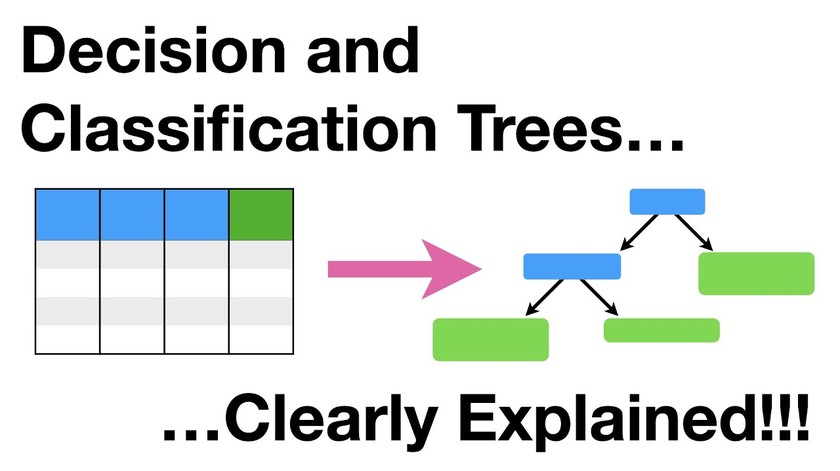 Classify Animals with Machine Learning | Science Project