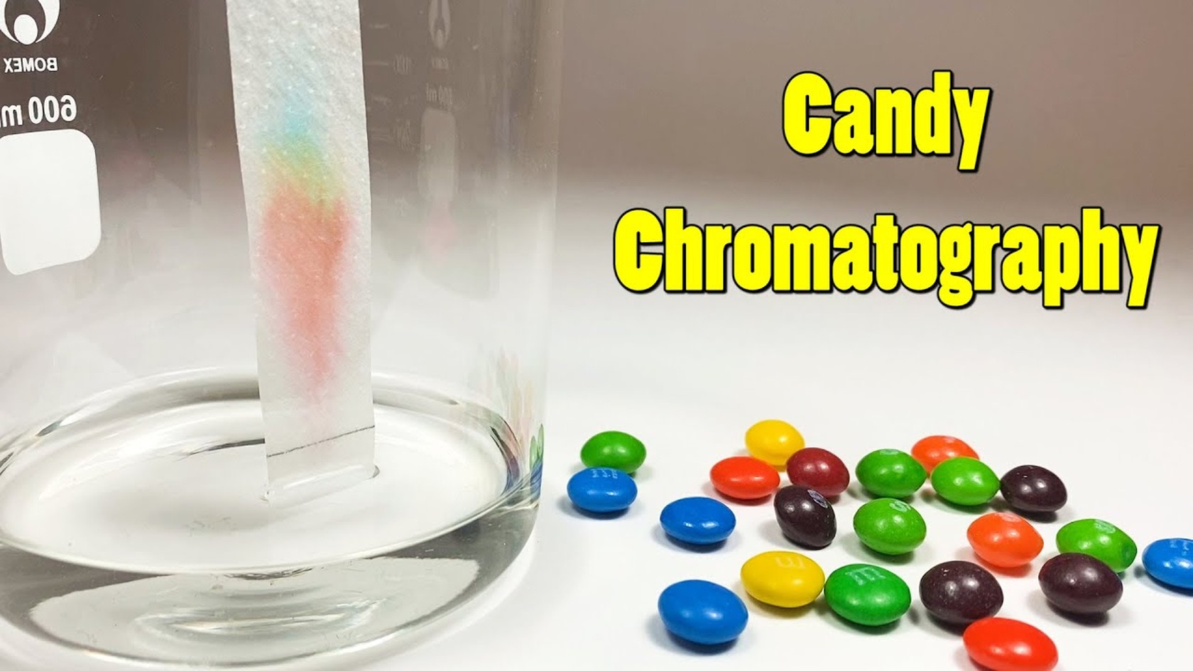 Paper Chromatography Science Projects & Experiments | Science Buddies Blog