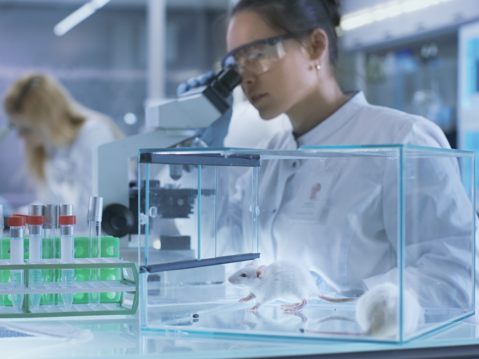 Biological Technician | Science & Engineering Career