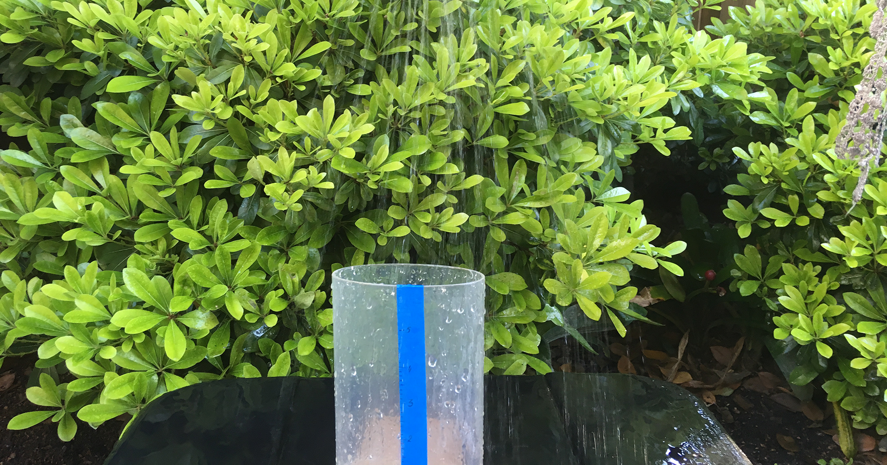 Spring Science Projects: 26 Science Experiments for Spring | Science ...