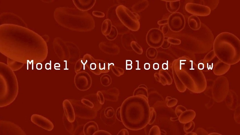 Model Your Blood Flow | STEM Activity