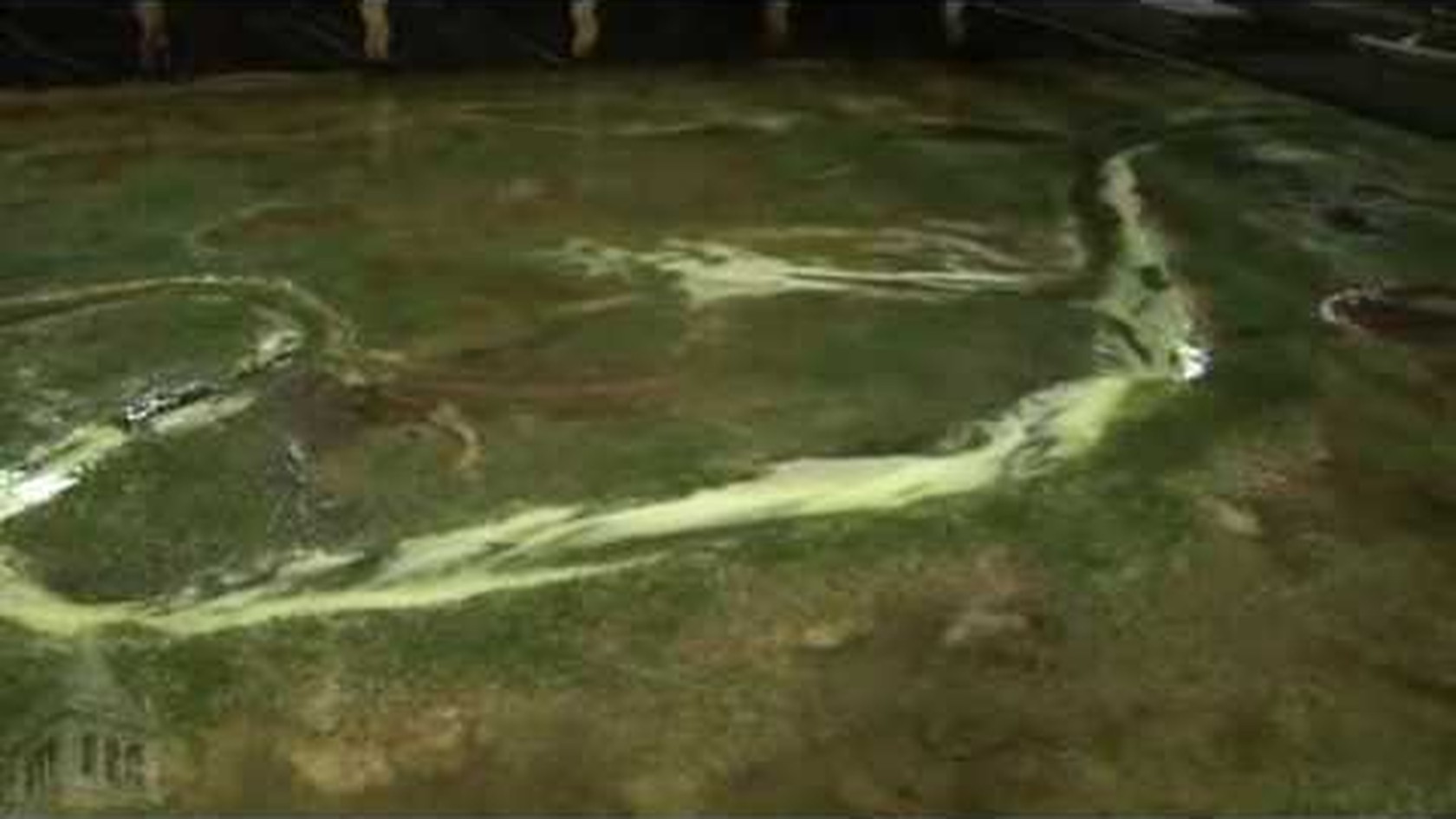 Build a River Model! | STEM Activity
