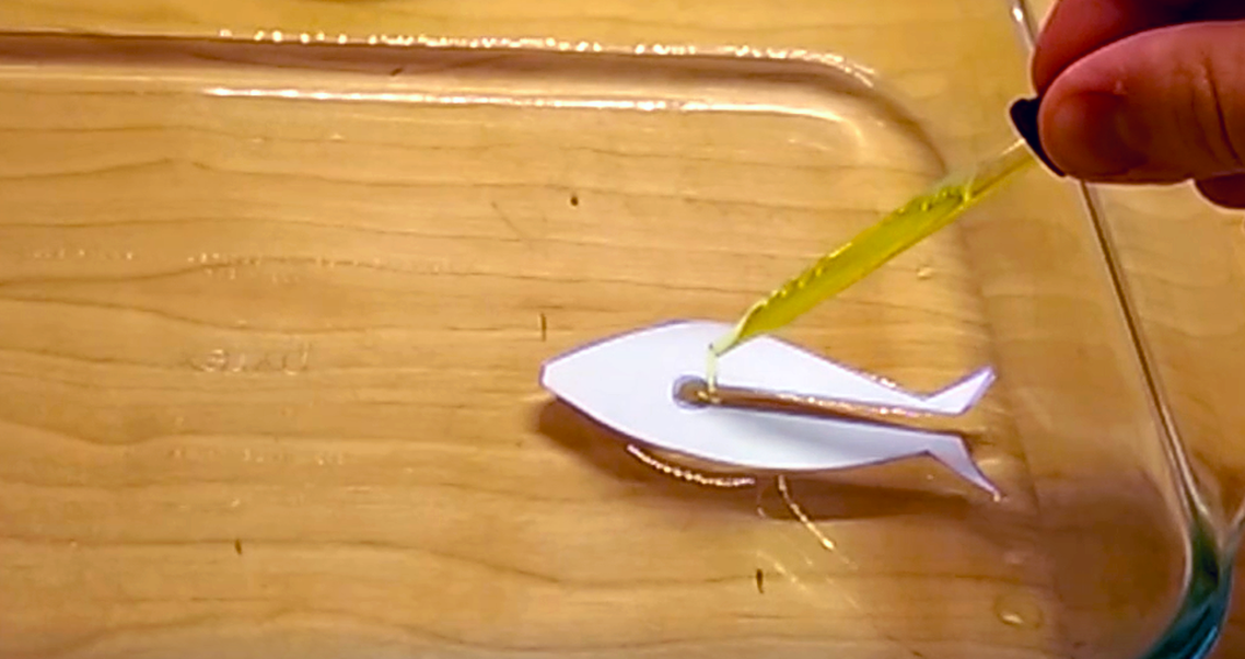 14 Paper STEM Activities! - Science and Engineering with Simple ...