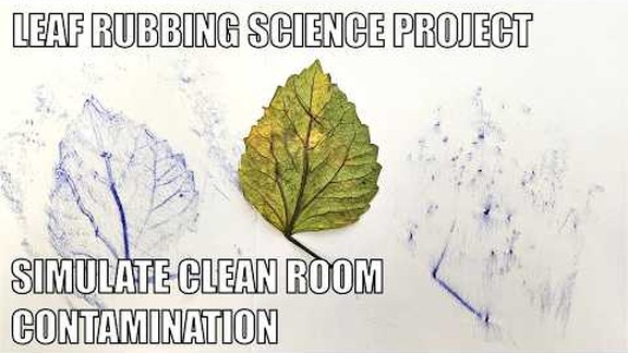 The Cold Wash Challenge: Testing How Well Enzymes Work in Laundry ...