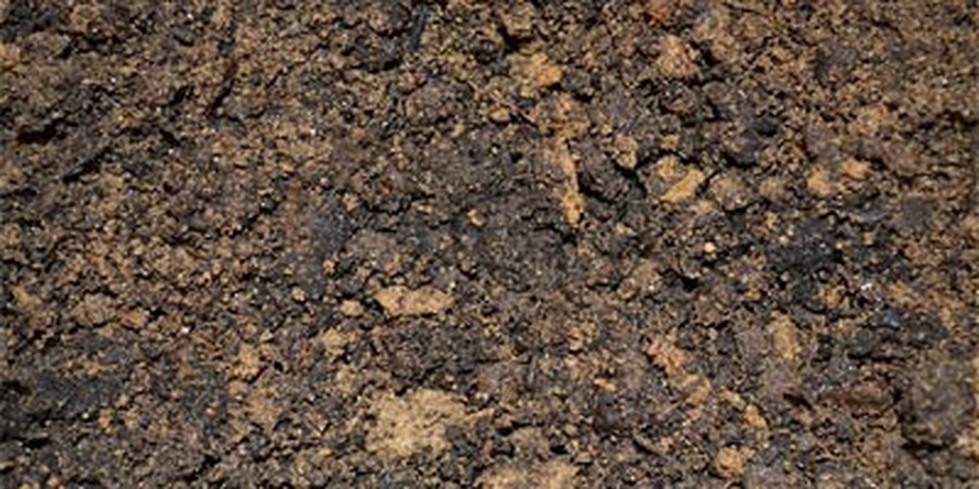 Experiment with Soil Science Projects