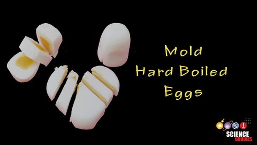 Separate Liquids with Salt! | STEM Activity