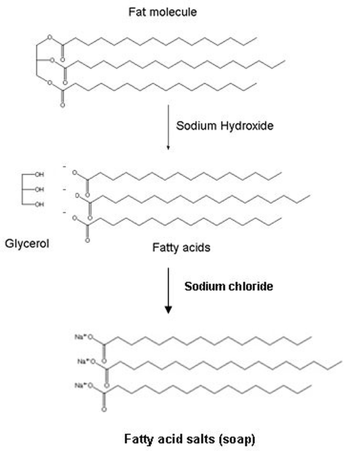 Make Your Own Soap to Study Soap Synthesis | Science Project