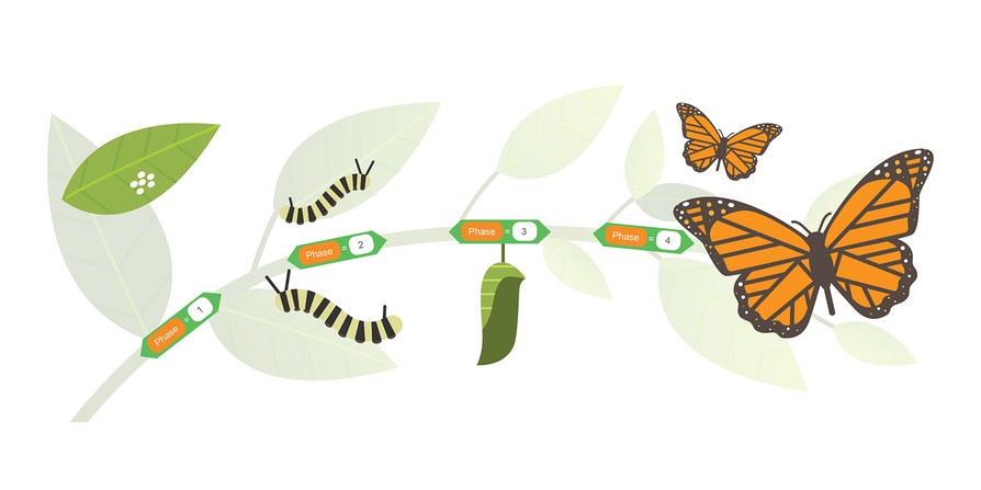 Spring Science Projects: 26 Science Experiments for Spring | Science ...