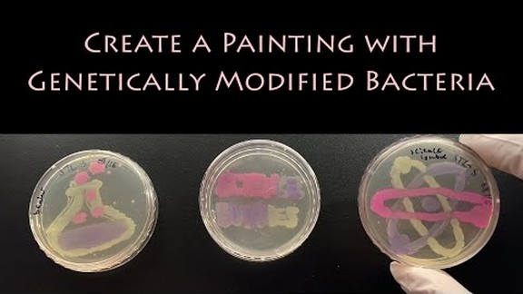 Stacking Liquids | STEM Activity