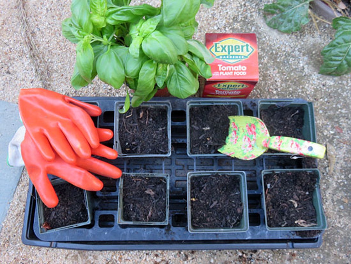 An Experiment on Nitrogen Fertilizers | Science Project
