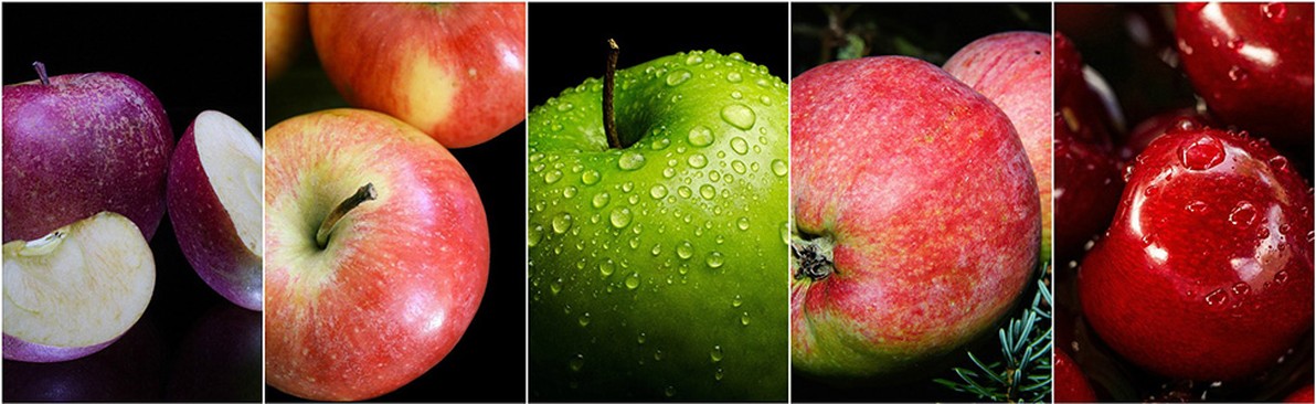 19 Fall Science Projects and Autumn STEM Activities | Science Buddies Blog