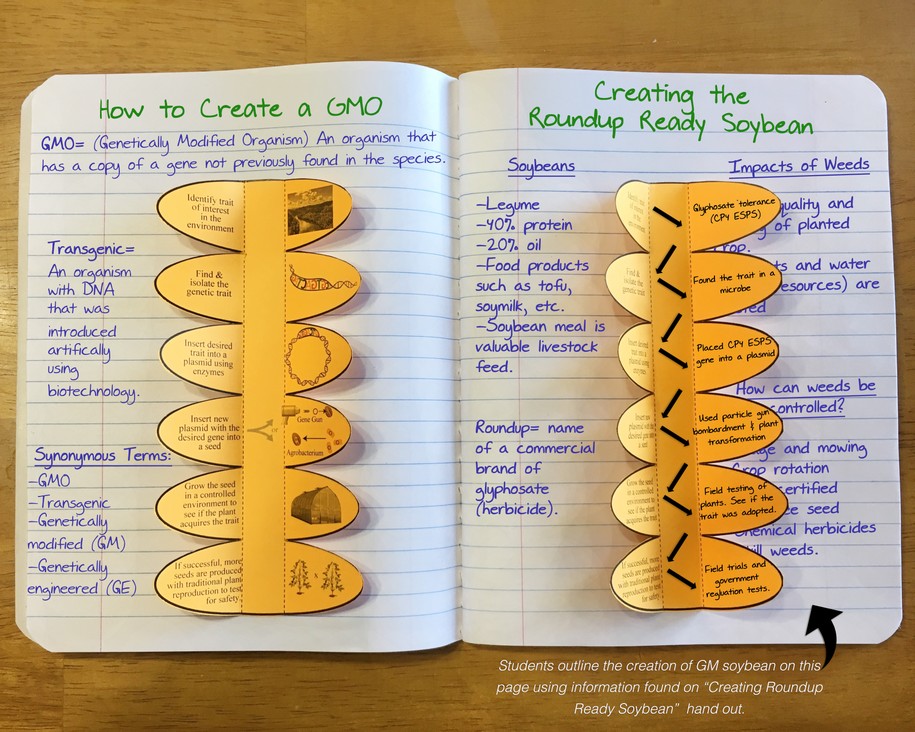 The Making of a GMO Crop | Lesson Plan