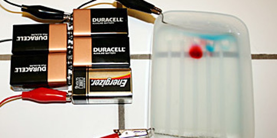 Experiment with DNA Science Projects