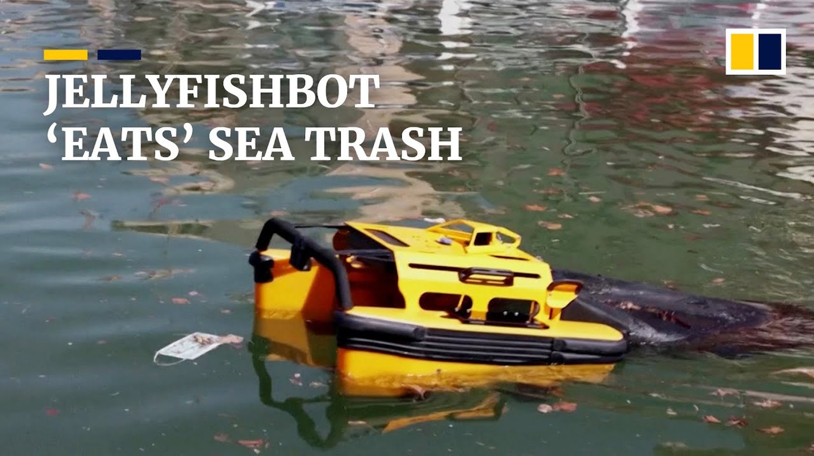 Build a Trash-Skimming Robot | Science Project