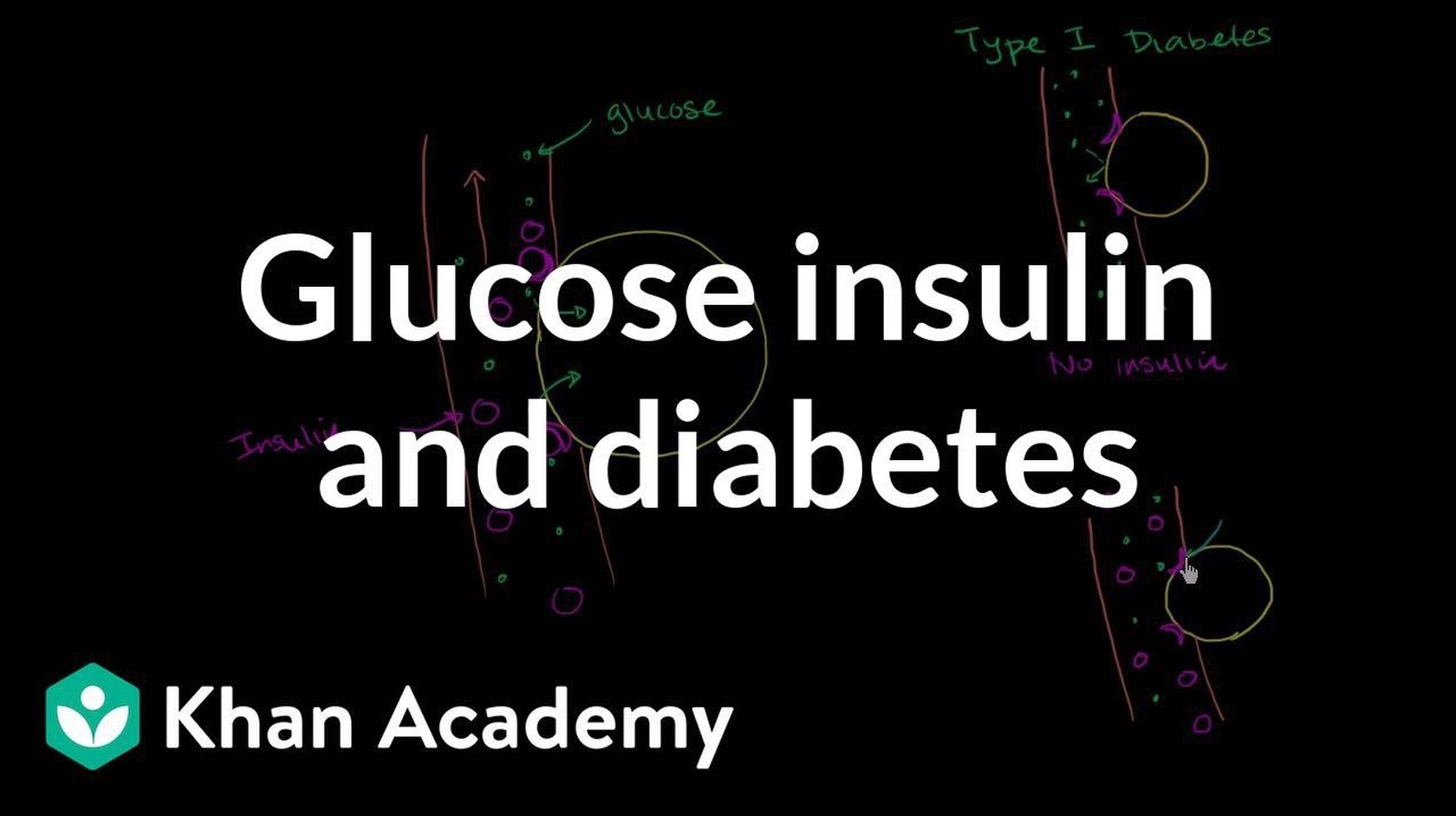 Explore the Types of Sugar In Foods With Enzymes | Science Project