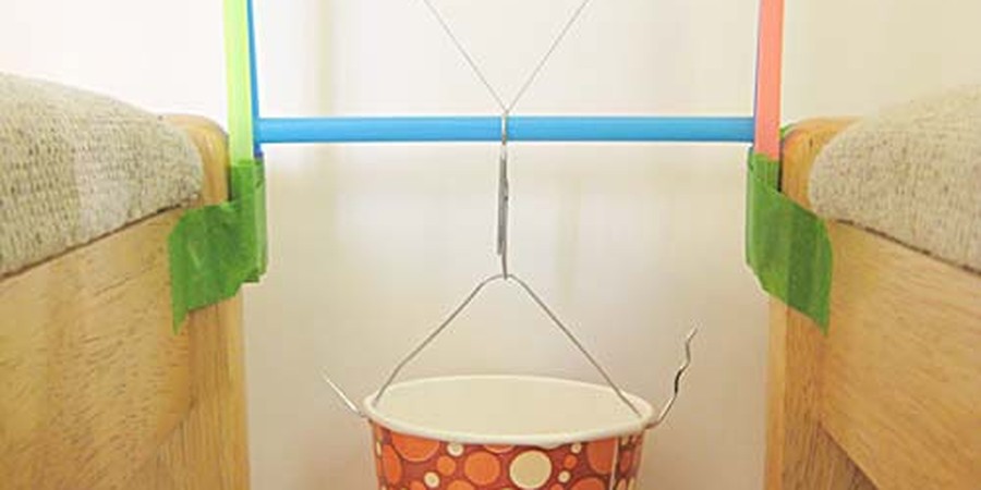 Build a Bridge Science Projects